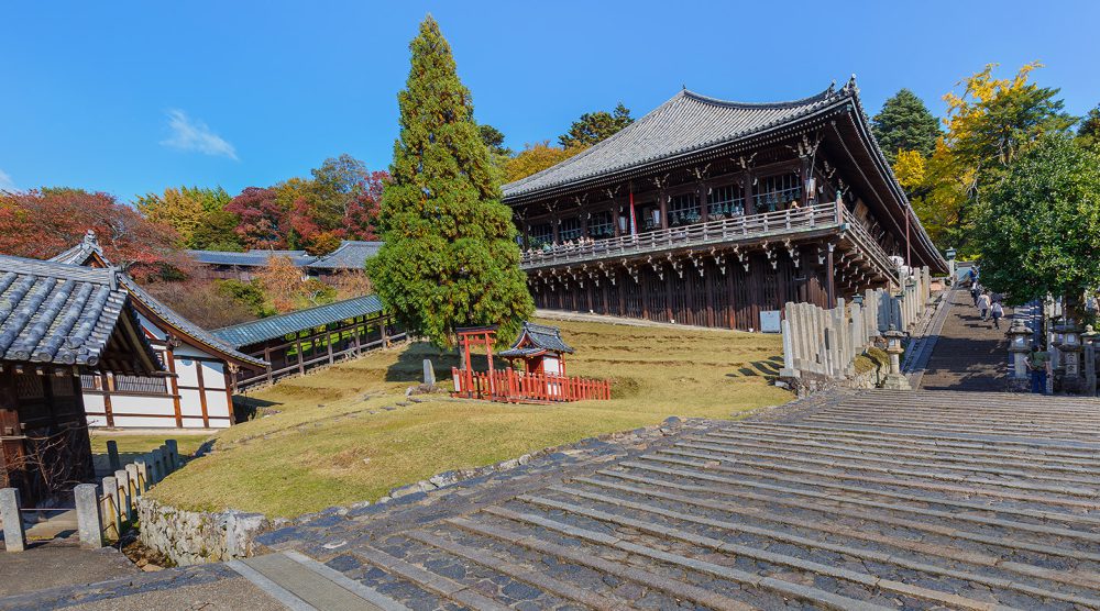 Day Trip to Nara from Osaka: Delve into Japan's Ancient Past - Road ...